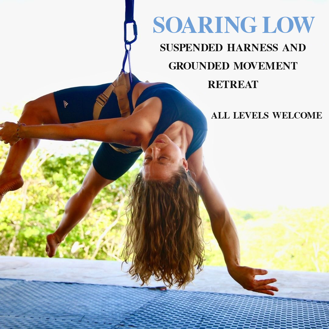 Home Page - Amelia Rudolph